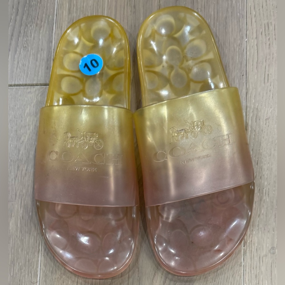 Coach Transparent Slides - Gem